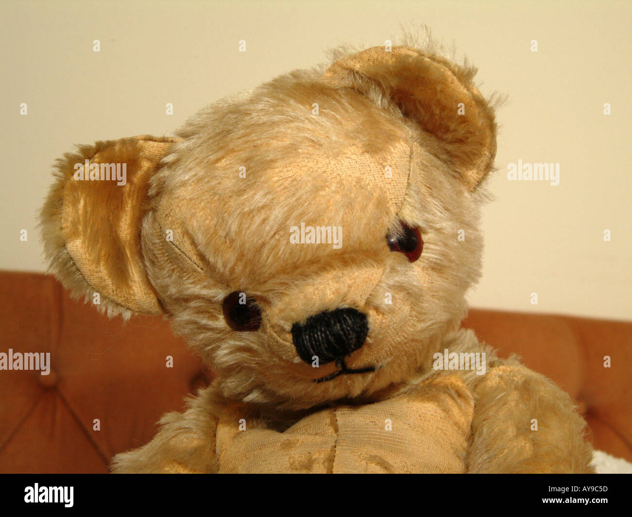 head of old threadbare teddy bear Stock Photo - Alamy