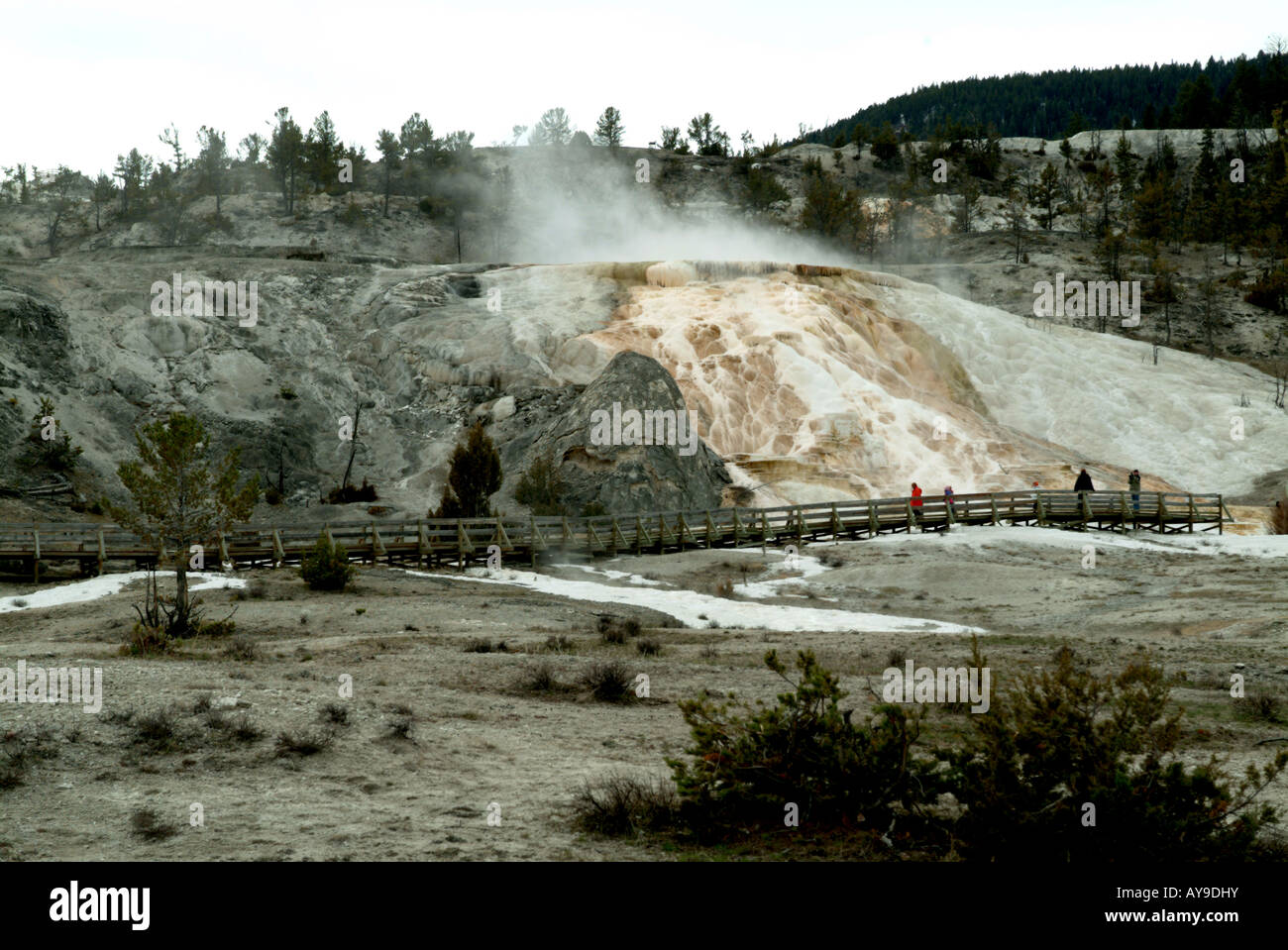 Patterns on geothermal feature Yellowstone Park Stock Photo - Alamy