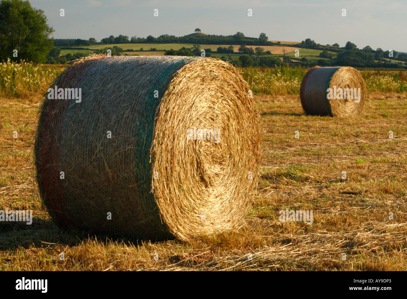Big circular bales hi-res stock photography and images - Alamy