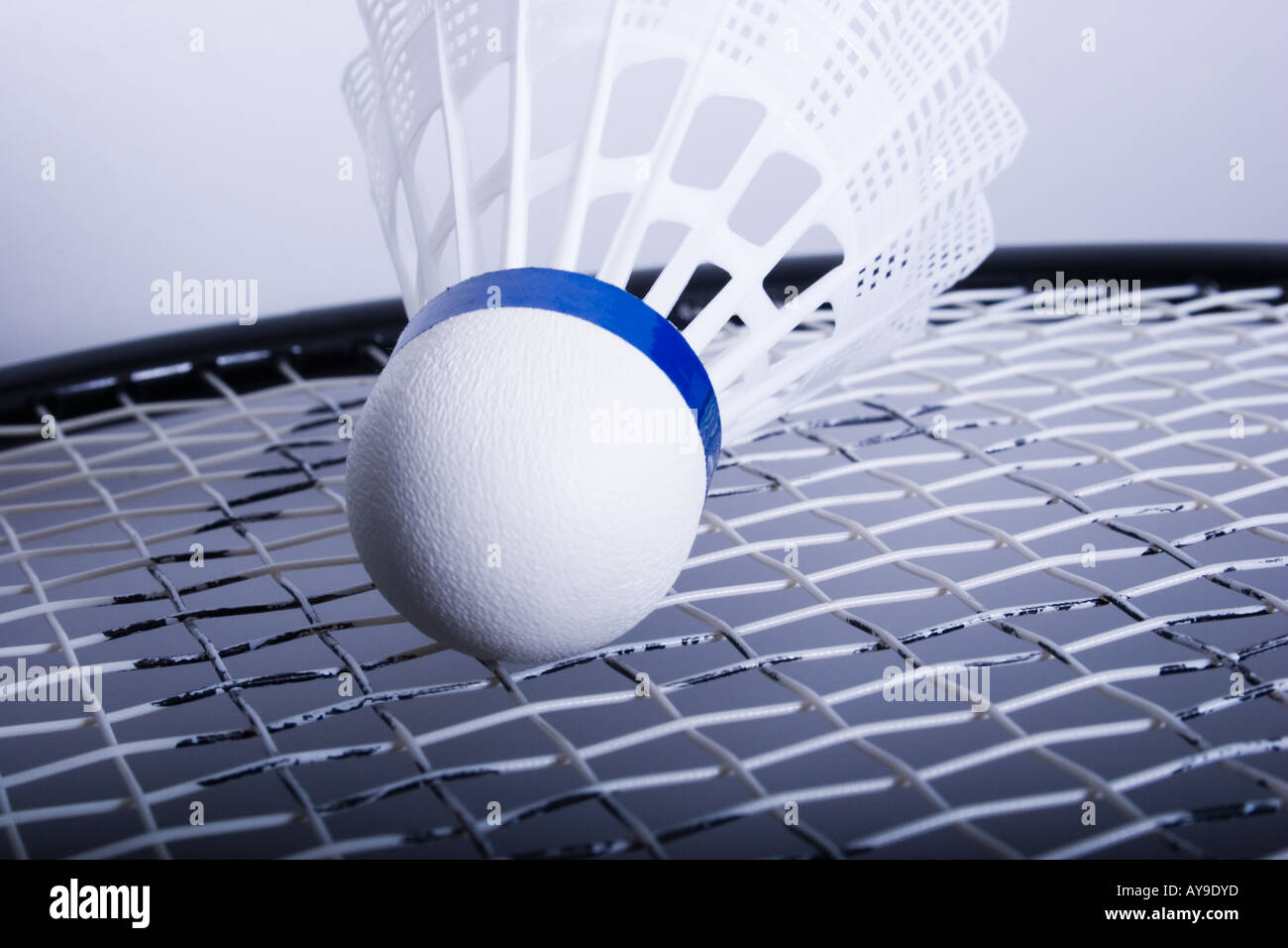shuttle cock on badminton racquet Stock Photo - Alamy