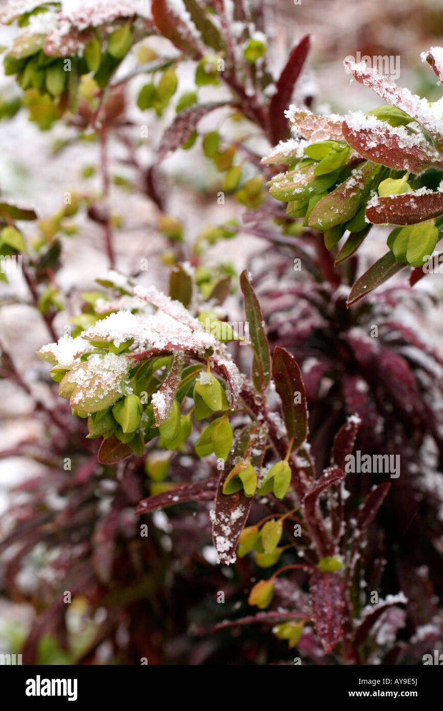 Unseasonal april snow hi-res stock photography and images - Alamy