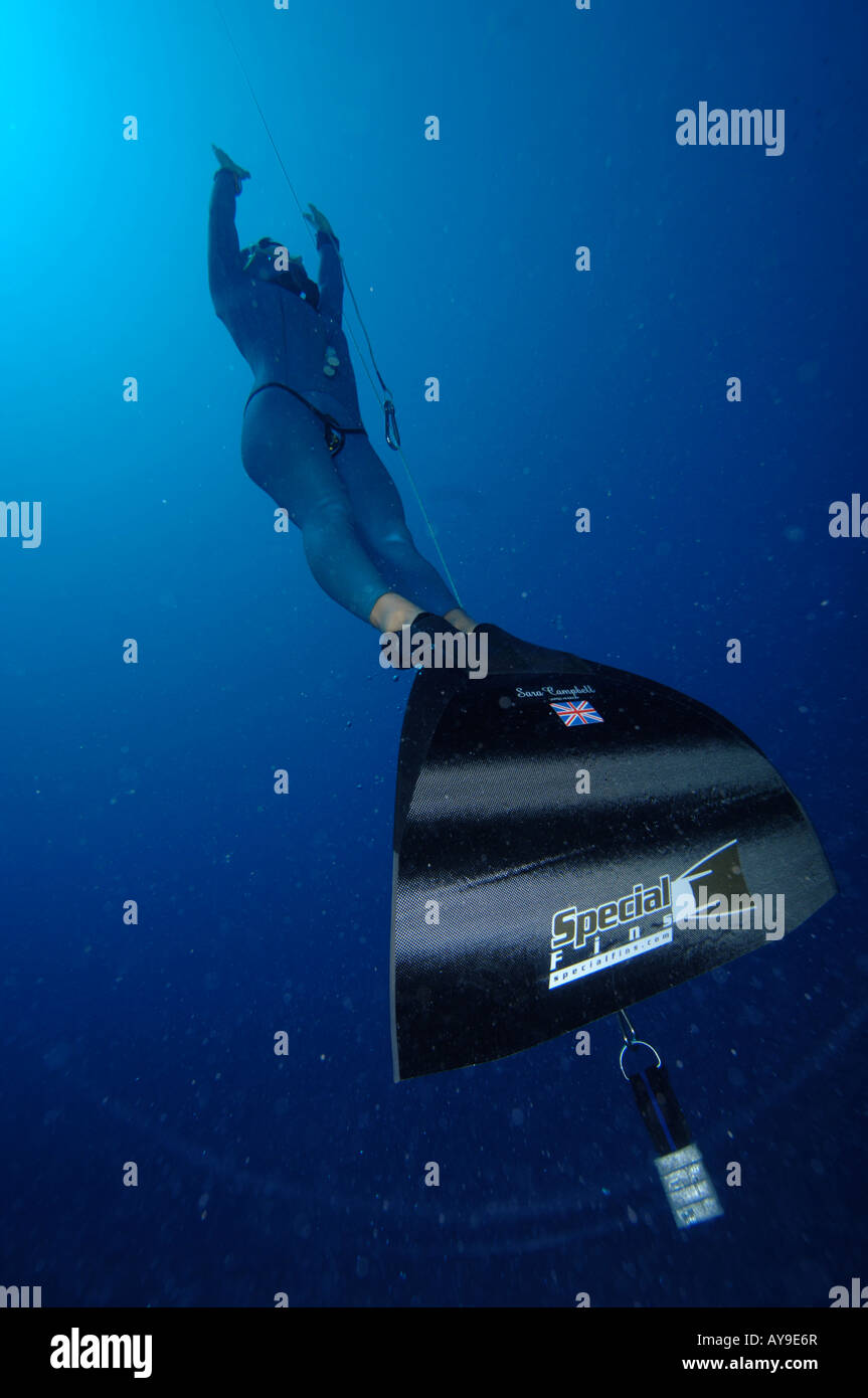 British diving champion hi-res stock photography and images - Alamy