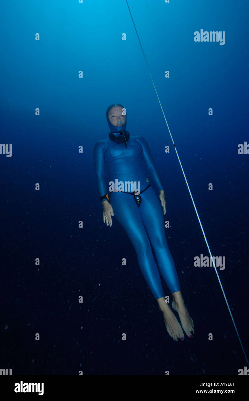 Freediving in egypt hi-res stock photography and images - Alamy