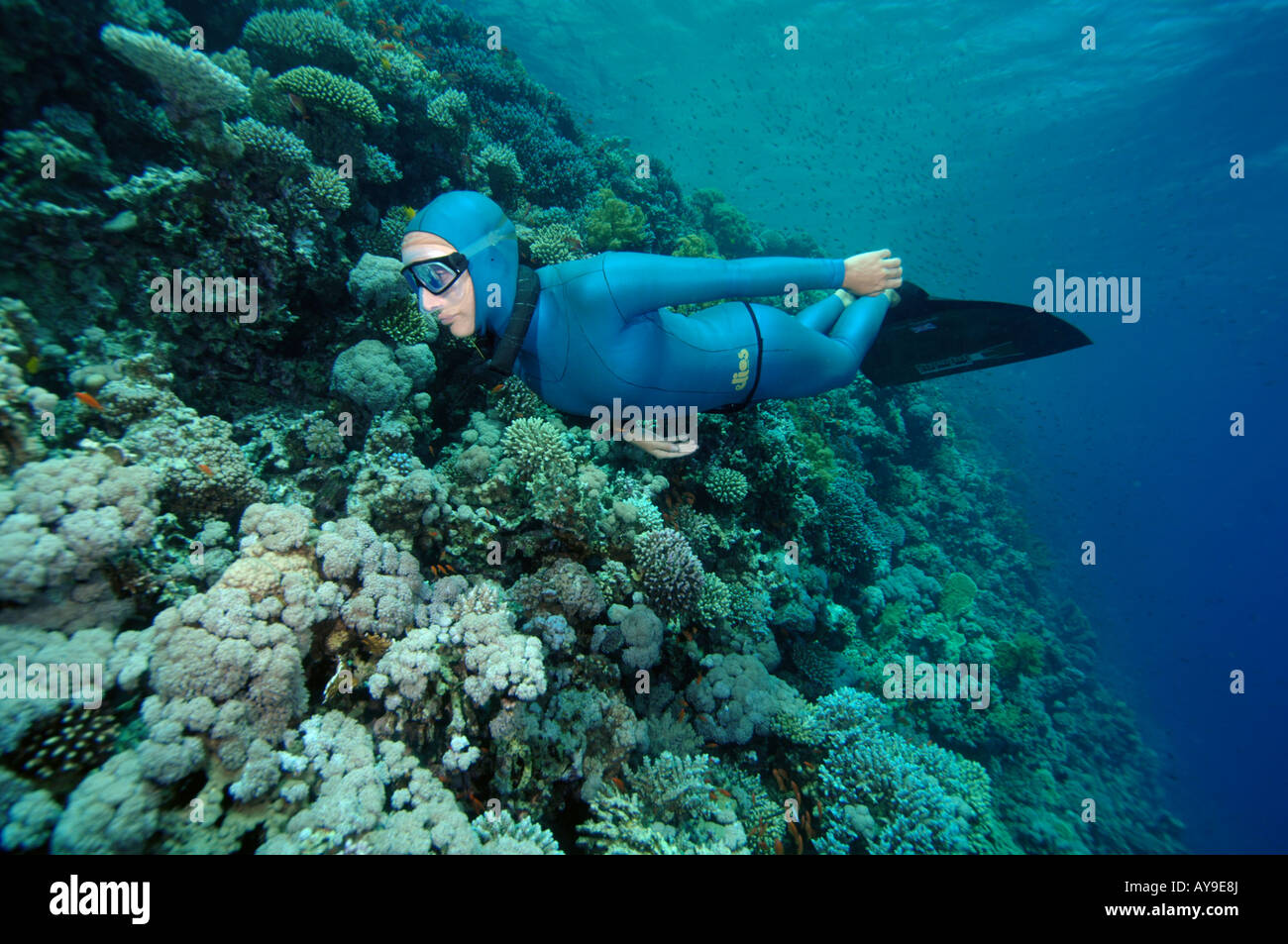 Freediving uk hi-res stock photography and images - Alamy