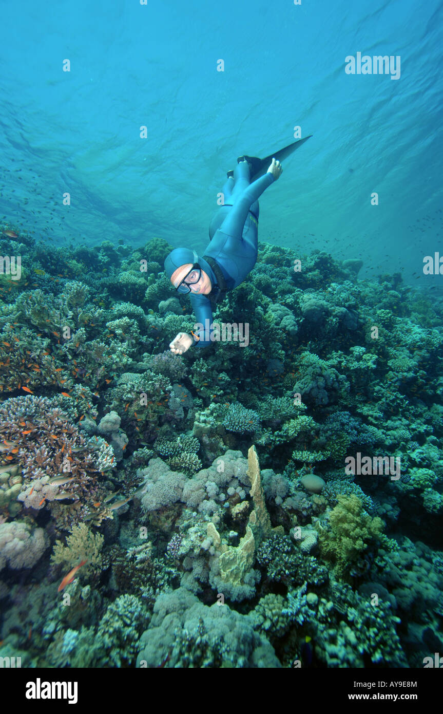 Freediving uk hi-res stock photography and images - Alamy