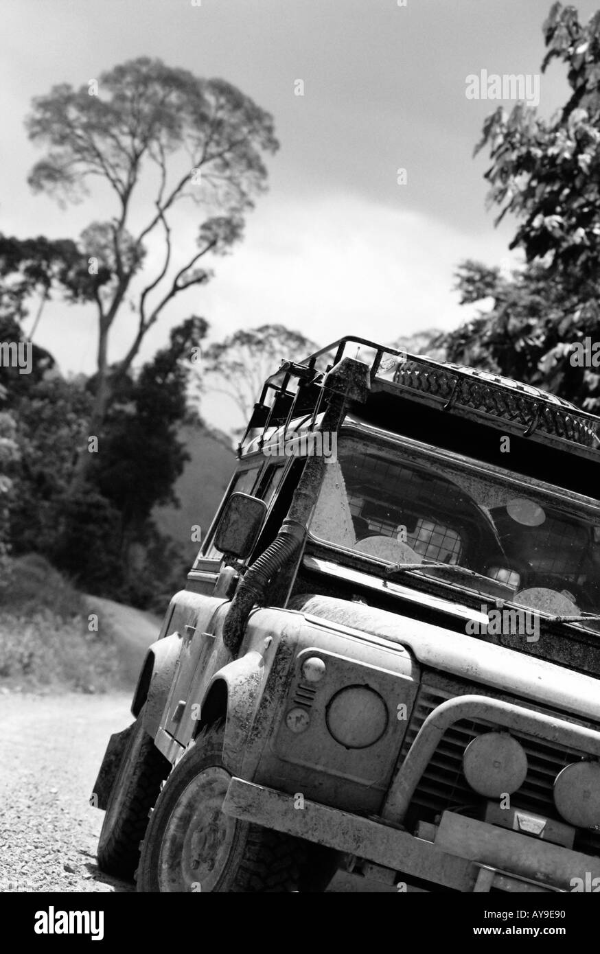 Land Rovers on safari Stock Photo - Alamy