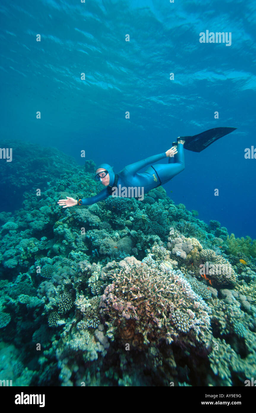 British diving champion hi-res stock photography and images - Alamy