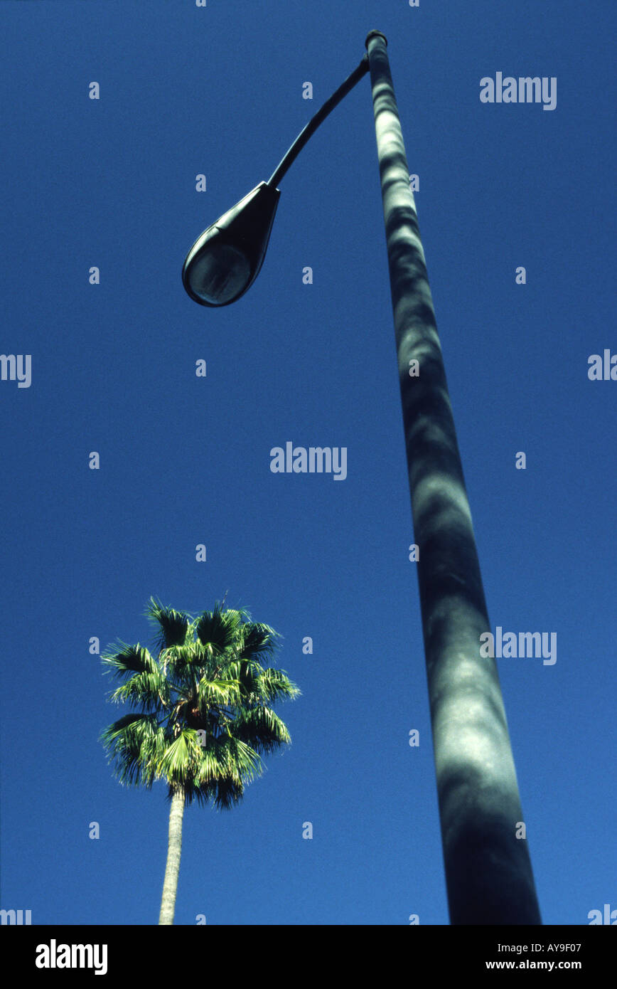 Towering Street Lamp and Palm Tree Stock Photo - Alamy