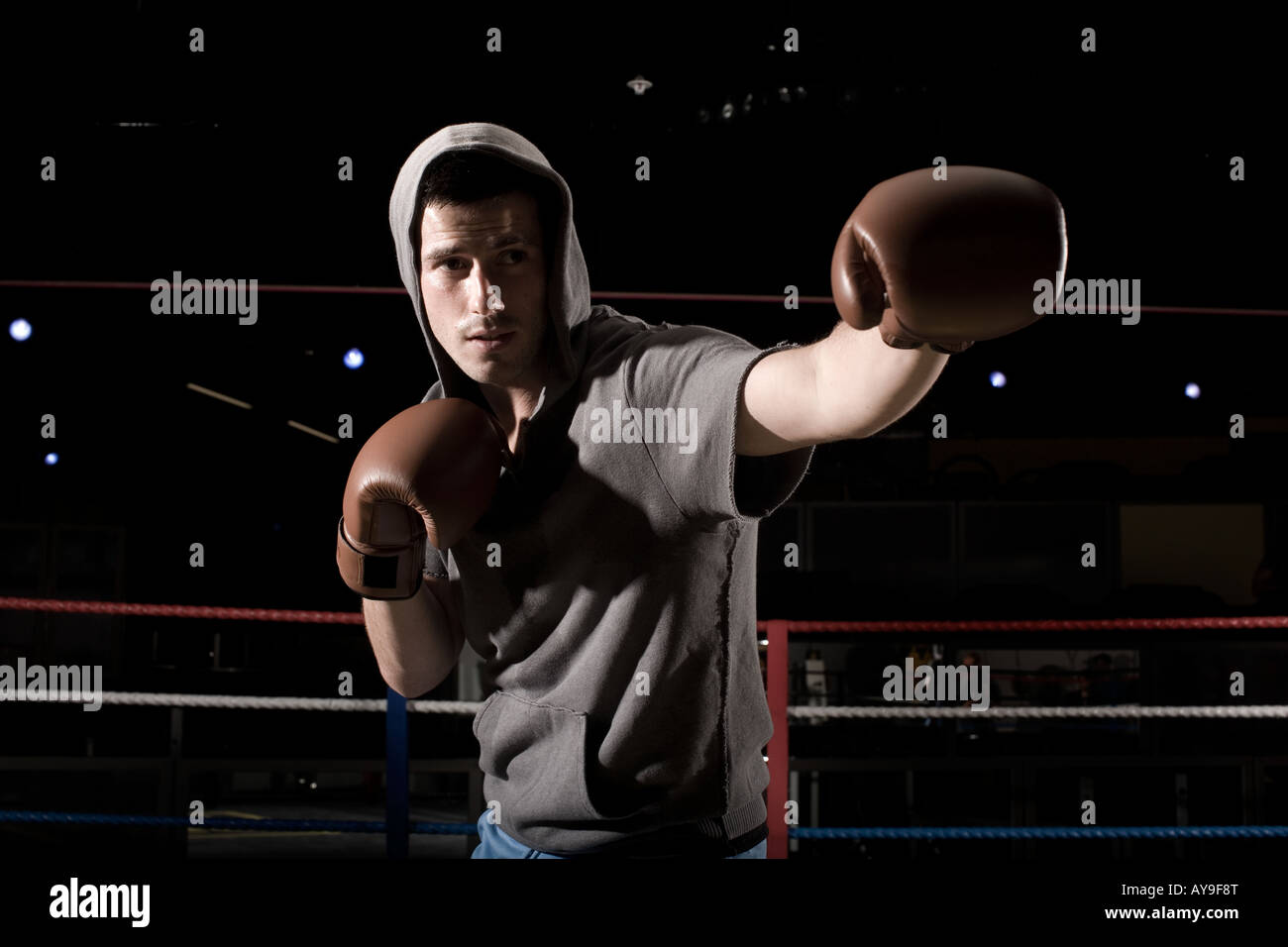 Boxer punching, training in boxing ring Stock Photo - Alamy