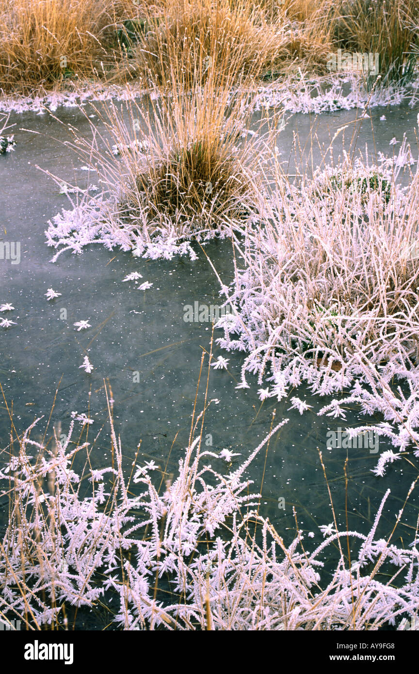 Skipwith common hi-res stock photography and images - Alamy