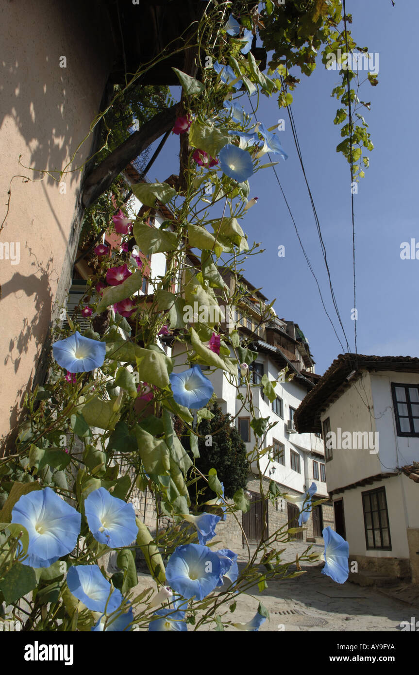 Veliko Tarnovo general Gurko promenade Stock Photo - Alamy