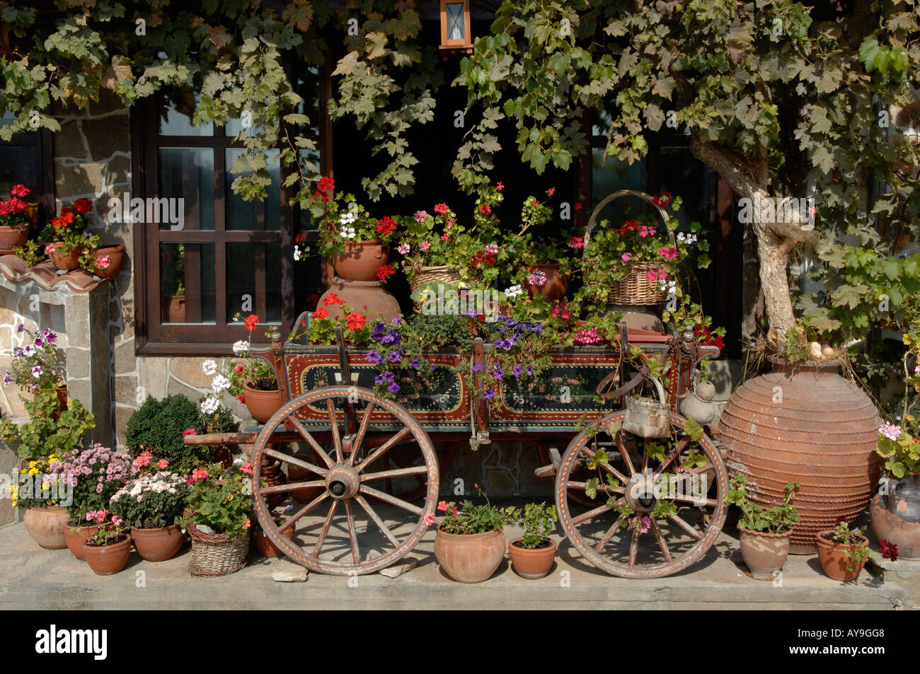 General Gurko High Resolution Stock Photography and Images - Alamy