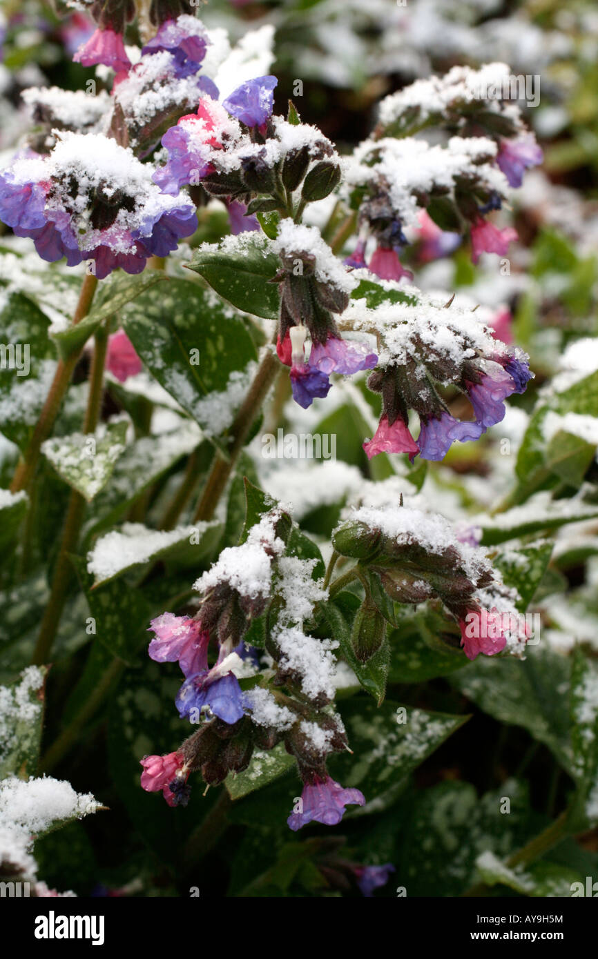 April snow hi-res stock photography and images - Alamy