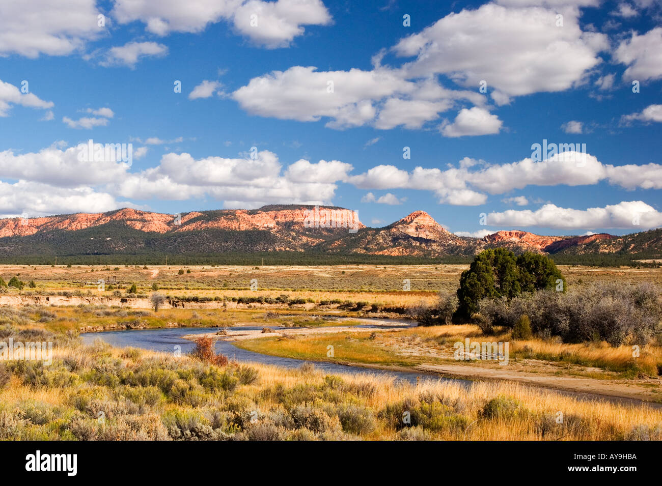 Bryce Canyon from Route 89 in Hatch, Utah Stock Photo - Alamy