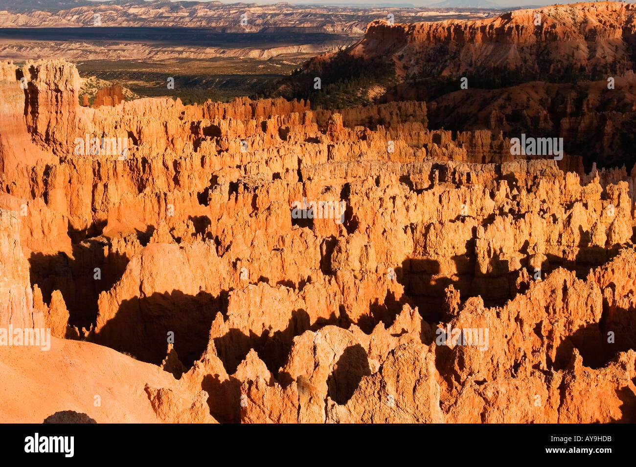 Bryce Canyon, amphitheater at Sunset Point Stock Photo - Alamy