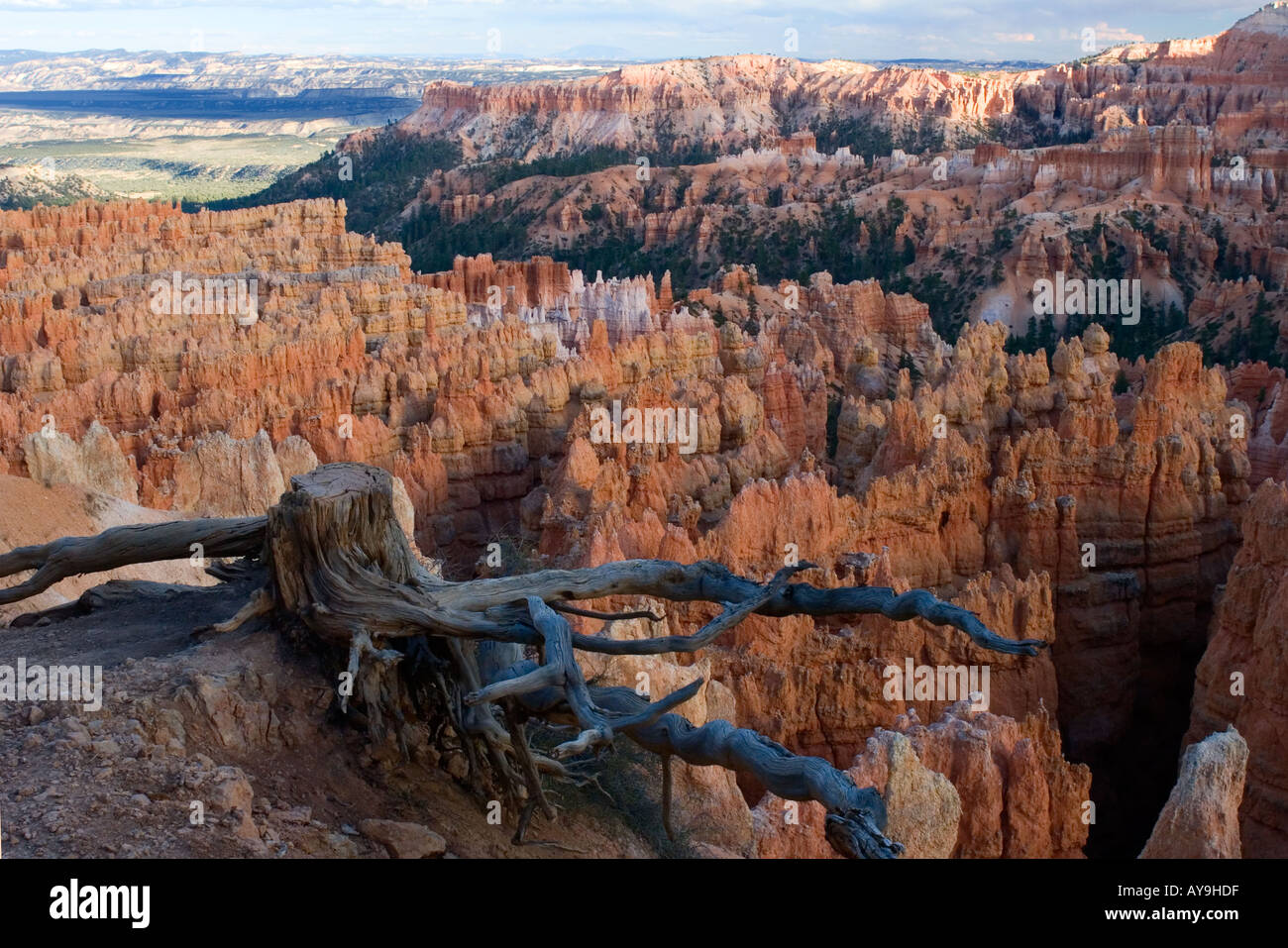 Bryce Canyon, amphitheater at Sunset Point Stock Photo - Alamy