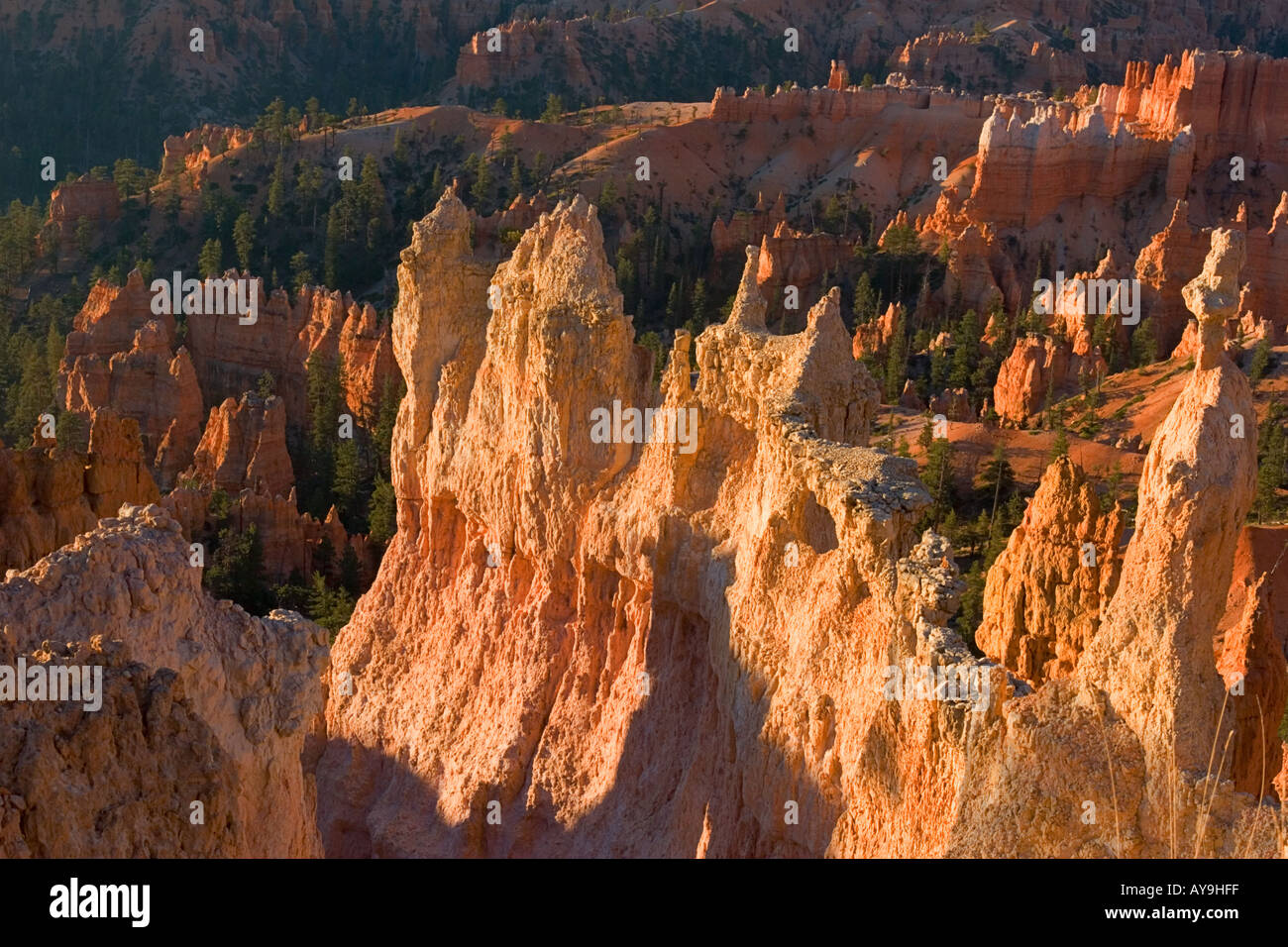 Bryce Canyon hoodoos at Sunrise Point Stock Photo - Alamy