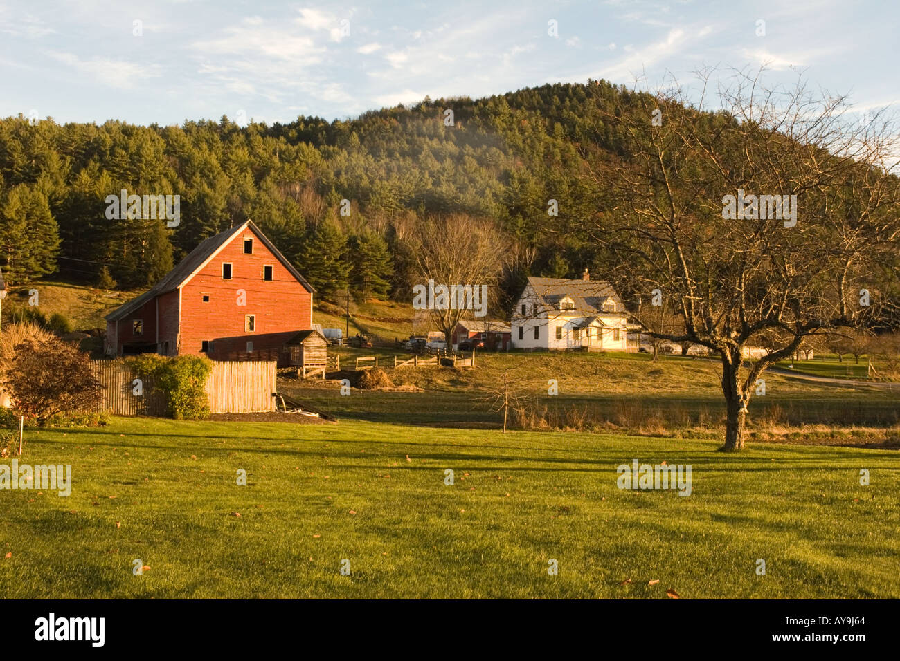 Vermont smoke hi-res stock photography and images - Alamy