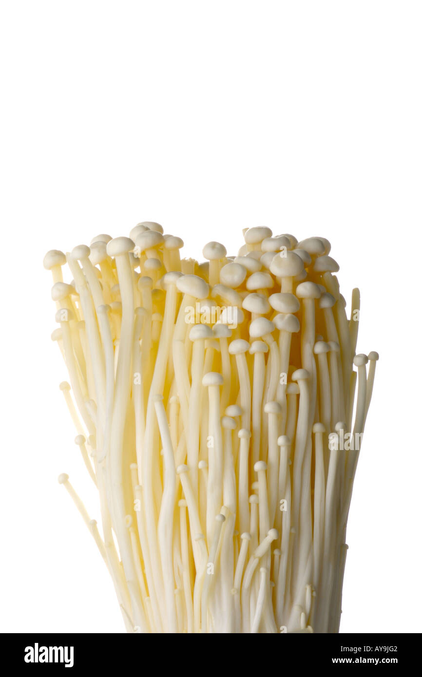 Japanese white enoki mushrooms against a white background Stock Photo ...