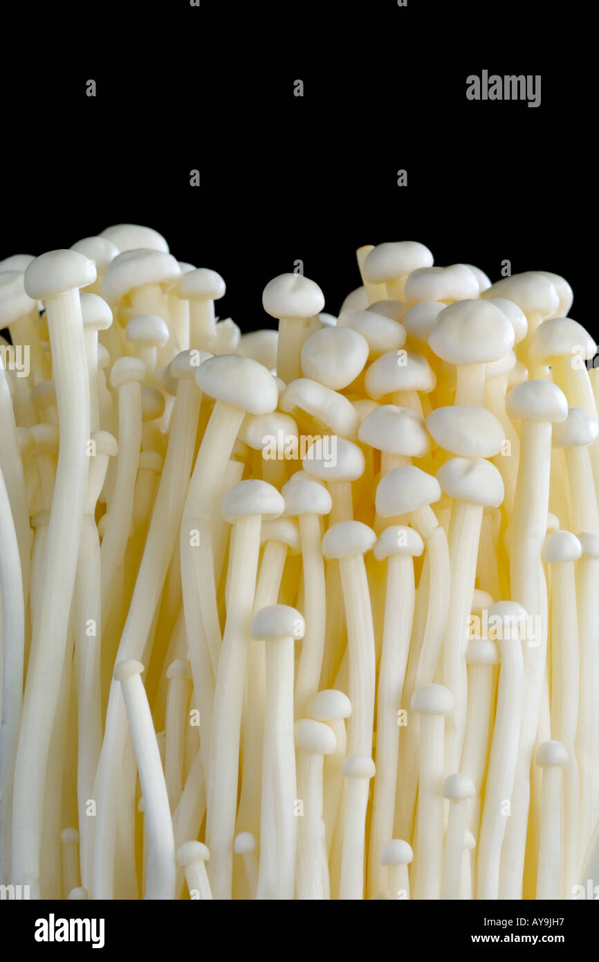 Inoki hi-res stock photography and images - Alamy