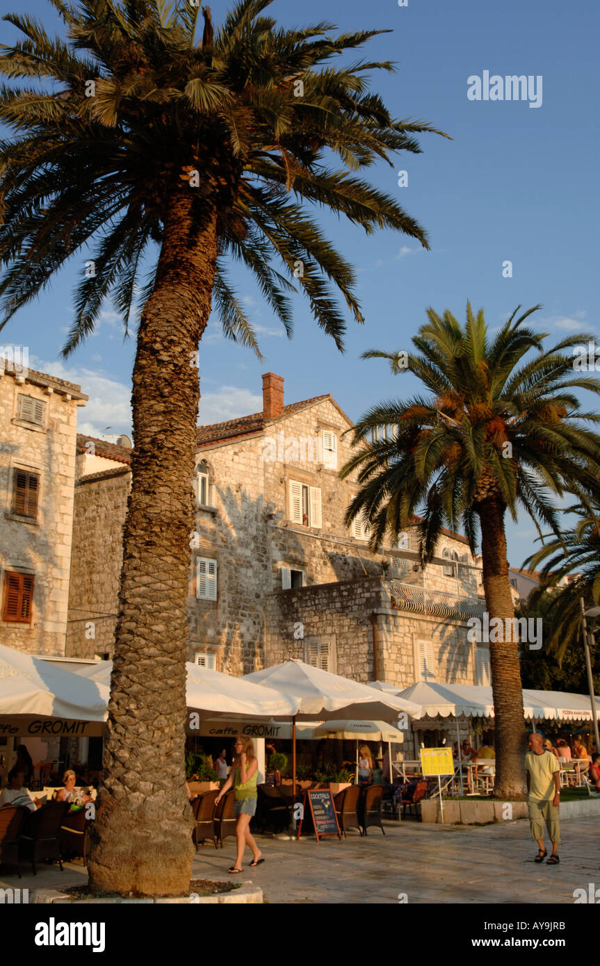 Tree trees water mediterranean hi-res stock photography and images - Alamy