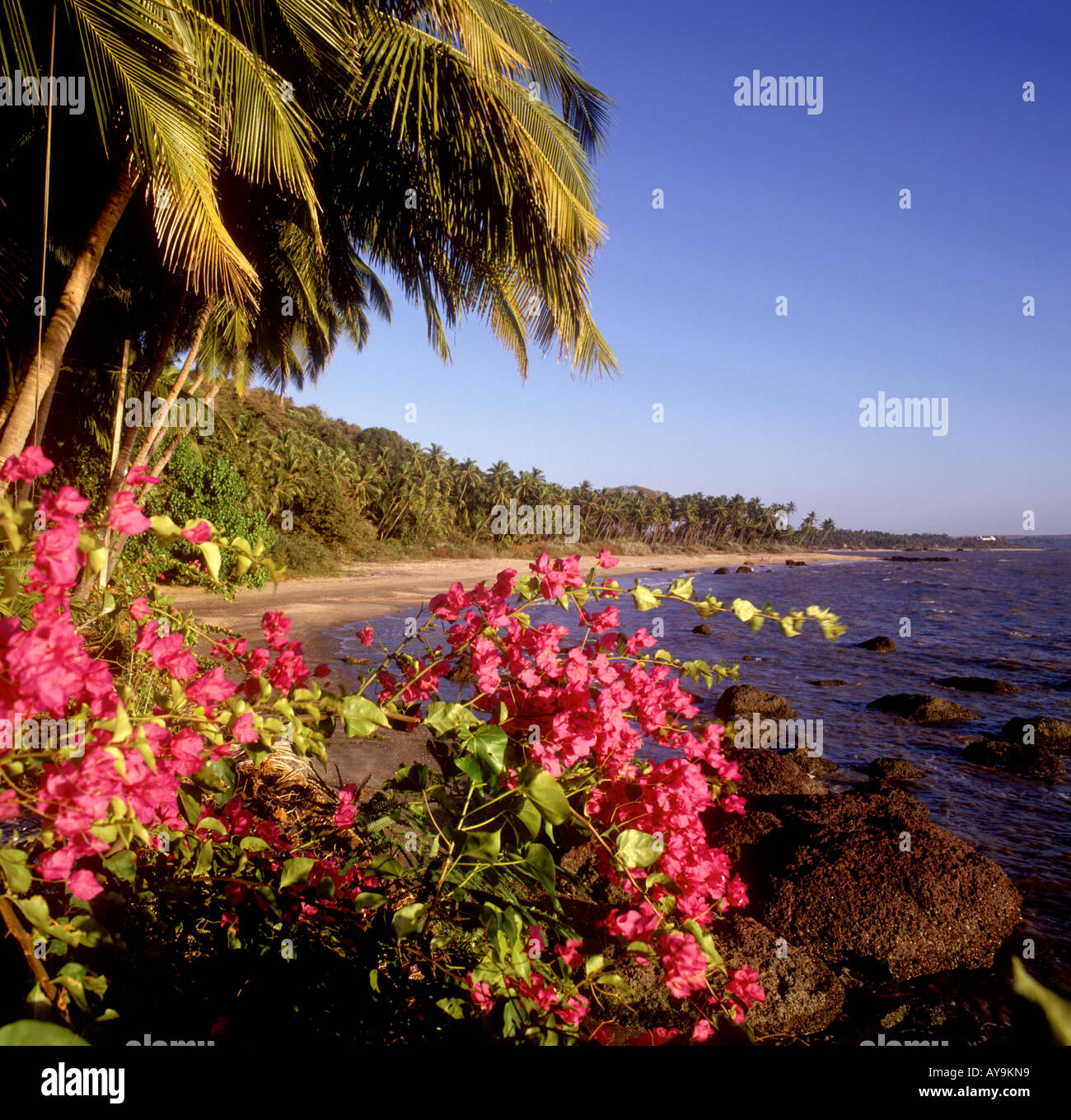 Goa - Colourful Goan beach Stock Photo - Alamy