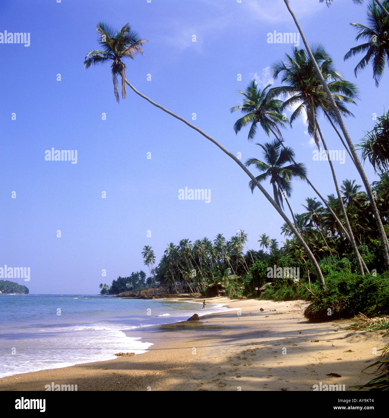 Beruwala, Tropical island beach Stock Photo - Alamy