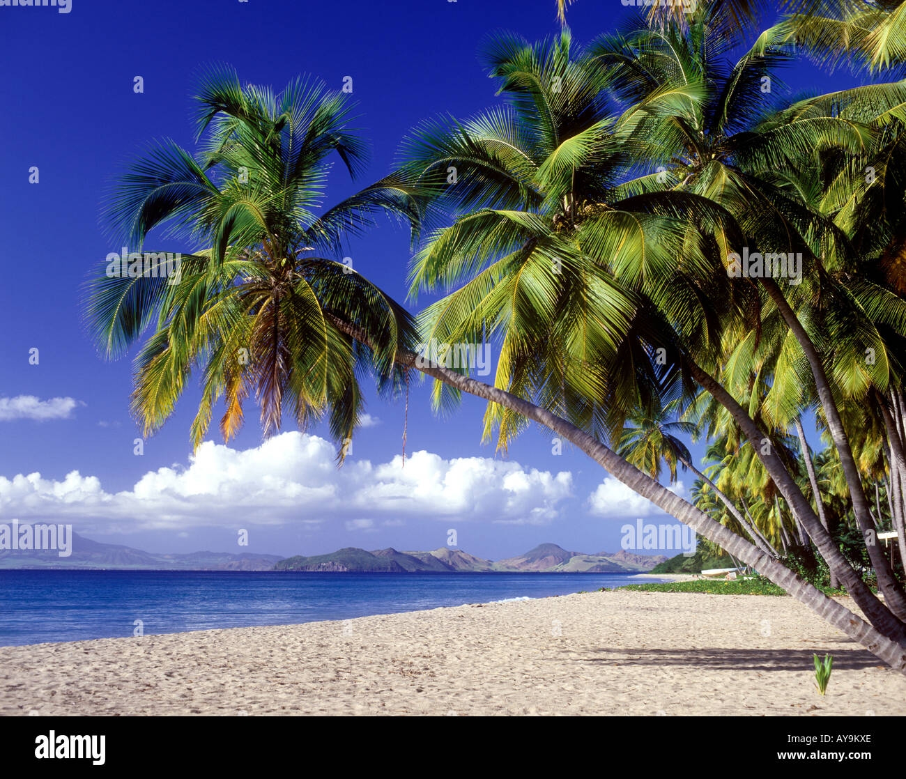 Pinney’s beach hi-res stock photography and images - Alamy