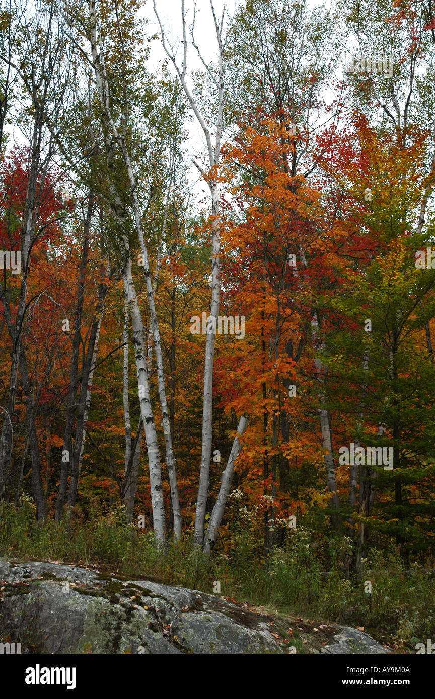 Mt tremblant fall hi-res stock photography and images - Alamy
