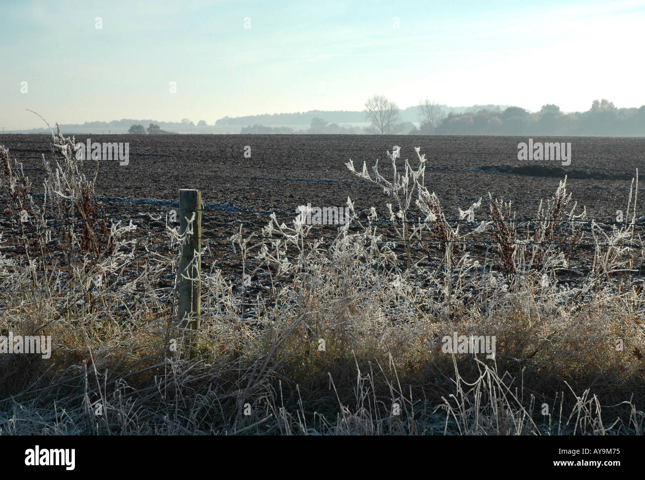 Frosted grass along barb wire fence line with fallow field in ...