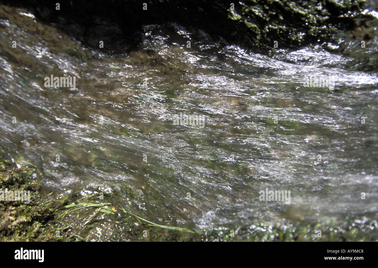 Fliessender Bach im Wald Stock Photo - Alamy