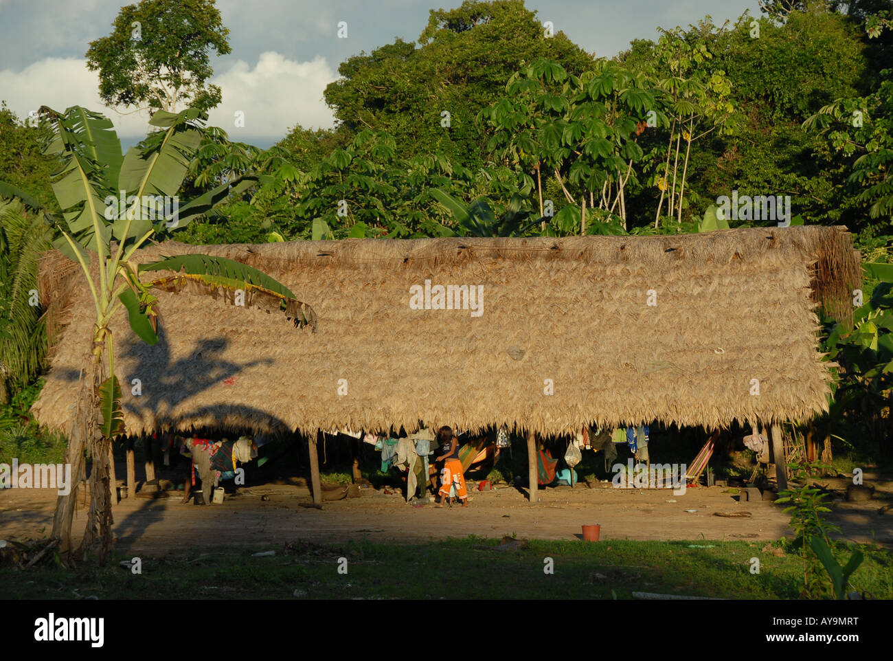 A hut in a remote Sanema Indian Village in central Venezuela far down ...