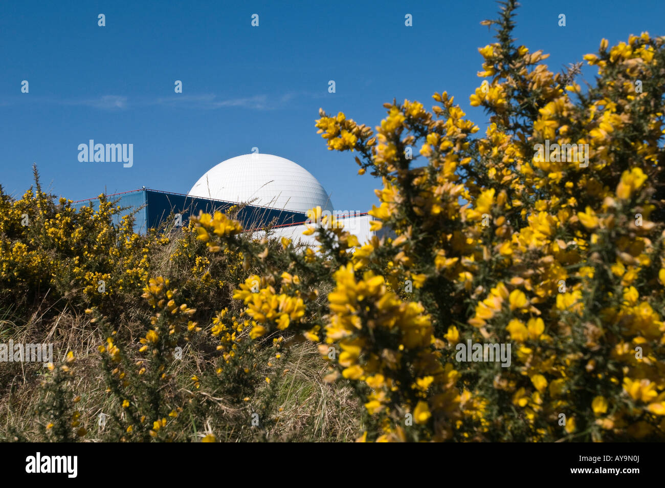 British Energy's Sizewell B Nuclear Power Station Stock Photo - Alamy