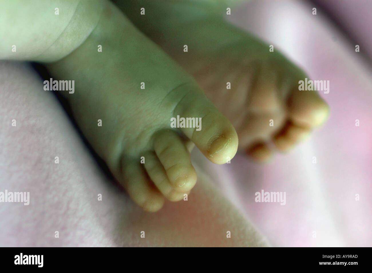 Newborns toes hi-res stock photography and images - Alamy