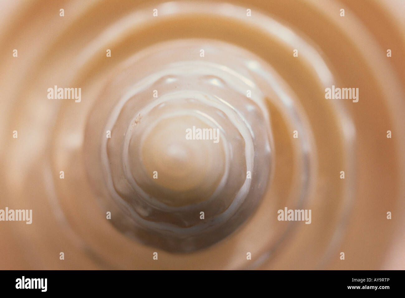 Swirl of Seashell Stock Photo - Alamy