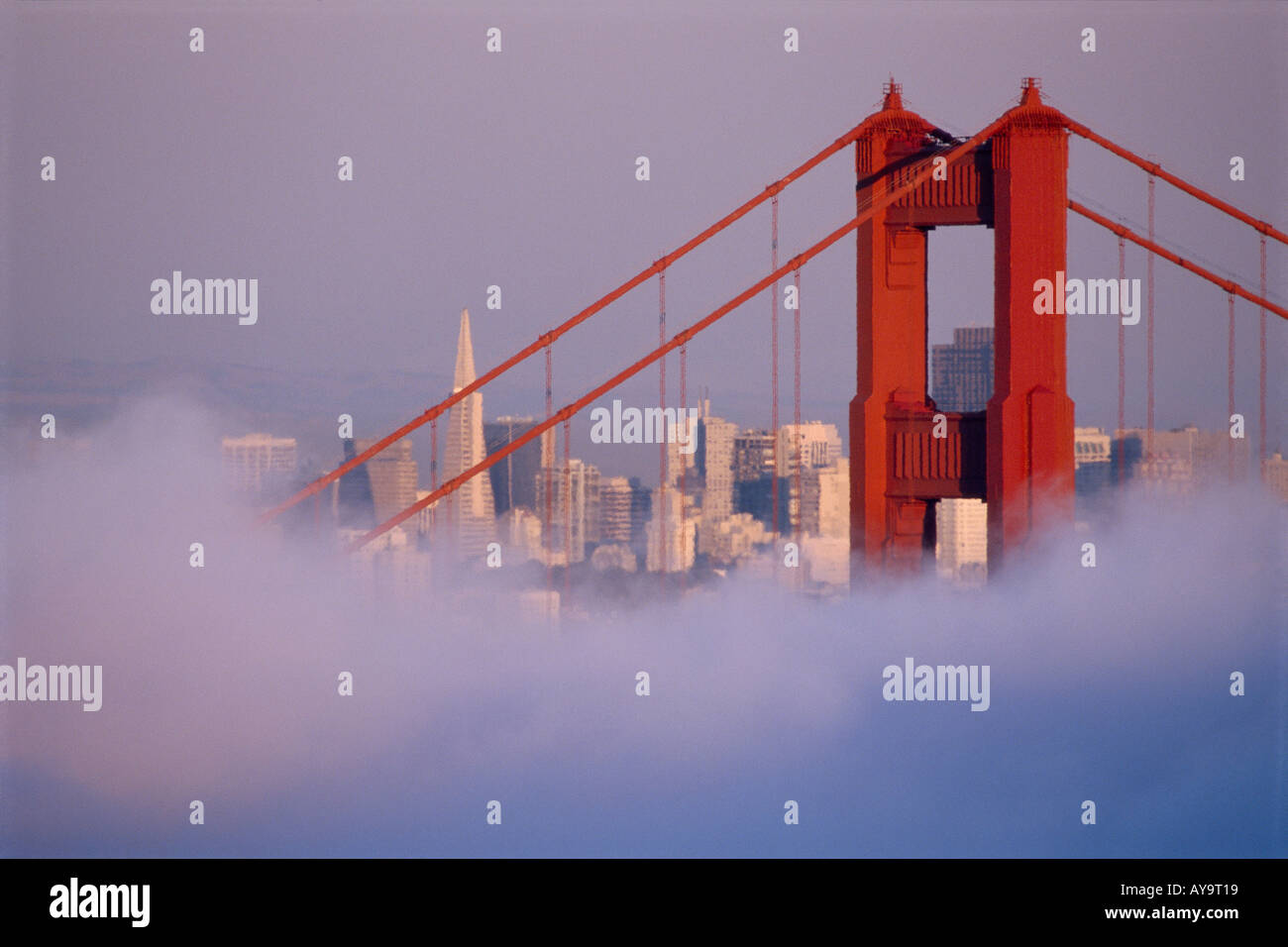 San Francisco skyline floating above the Pacific Ocean fog on a foggy ...