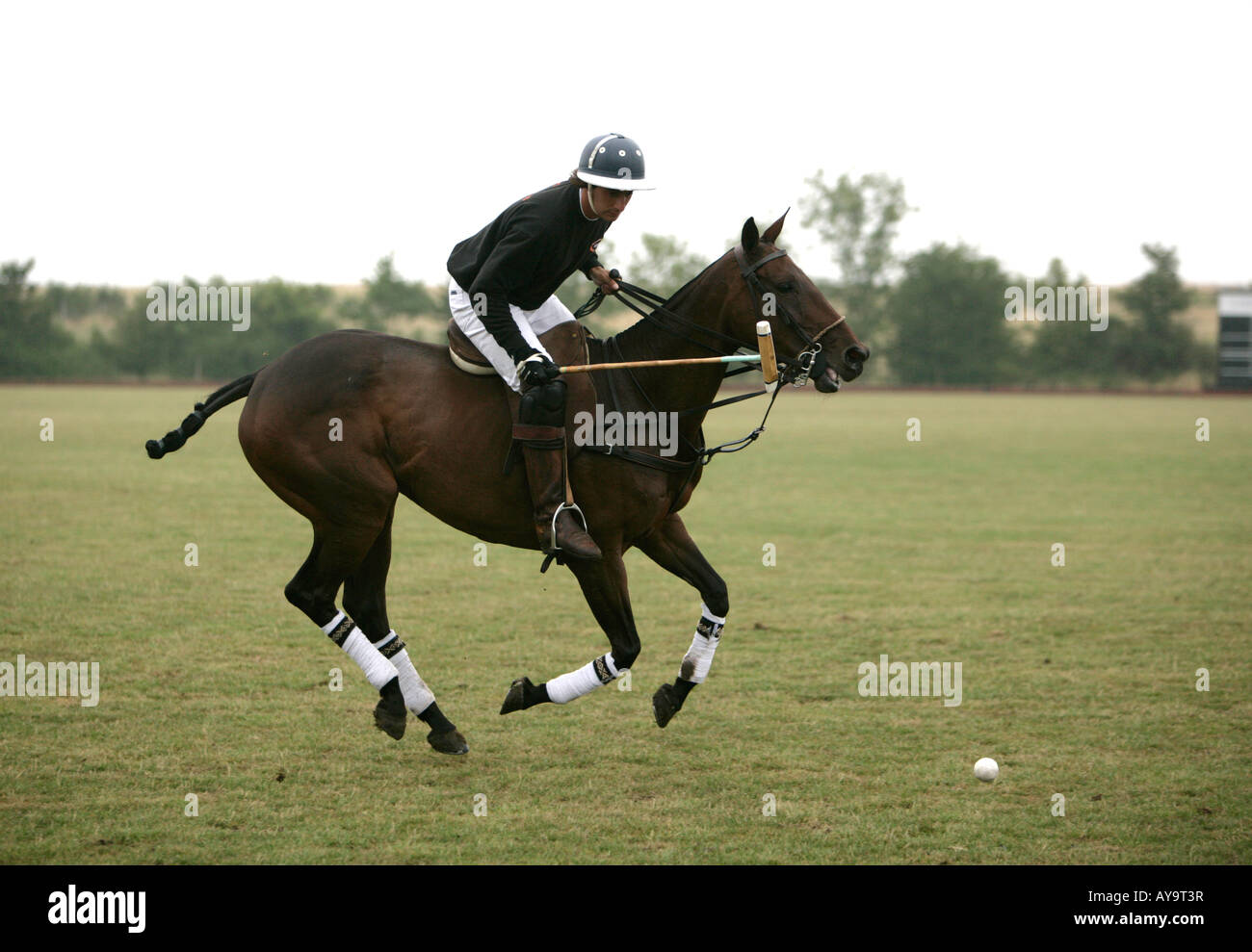 Polo player swinging mallet on horseback Stock Photo - Alamy