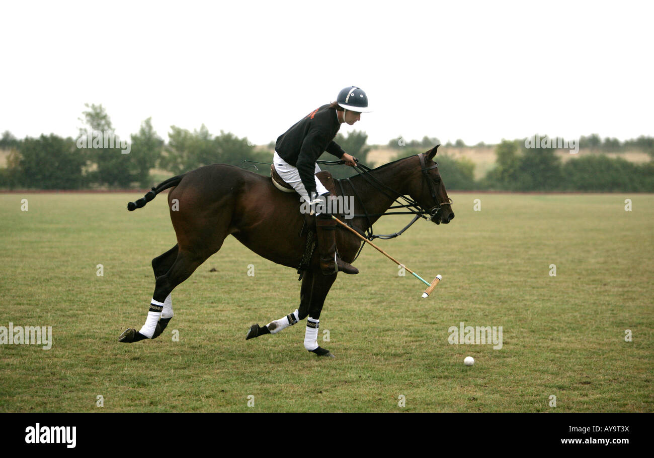 Polo swing hi-res stock photography and images - Alamy