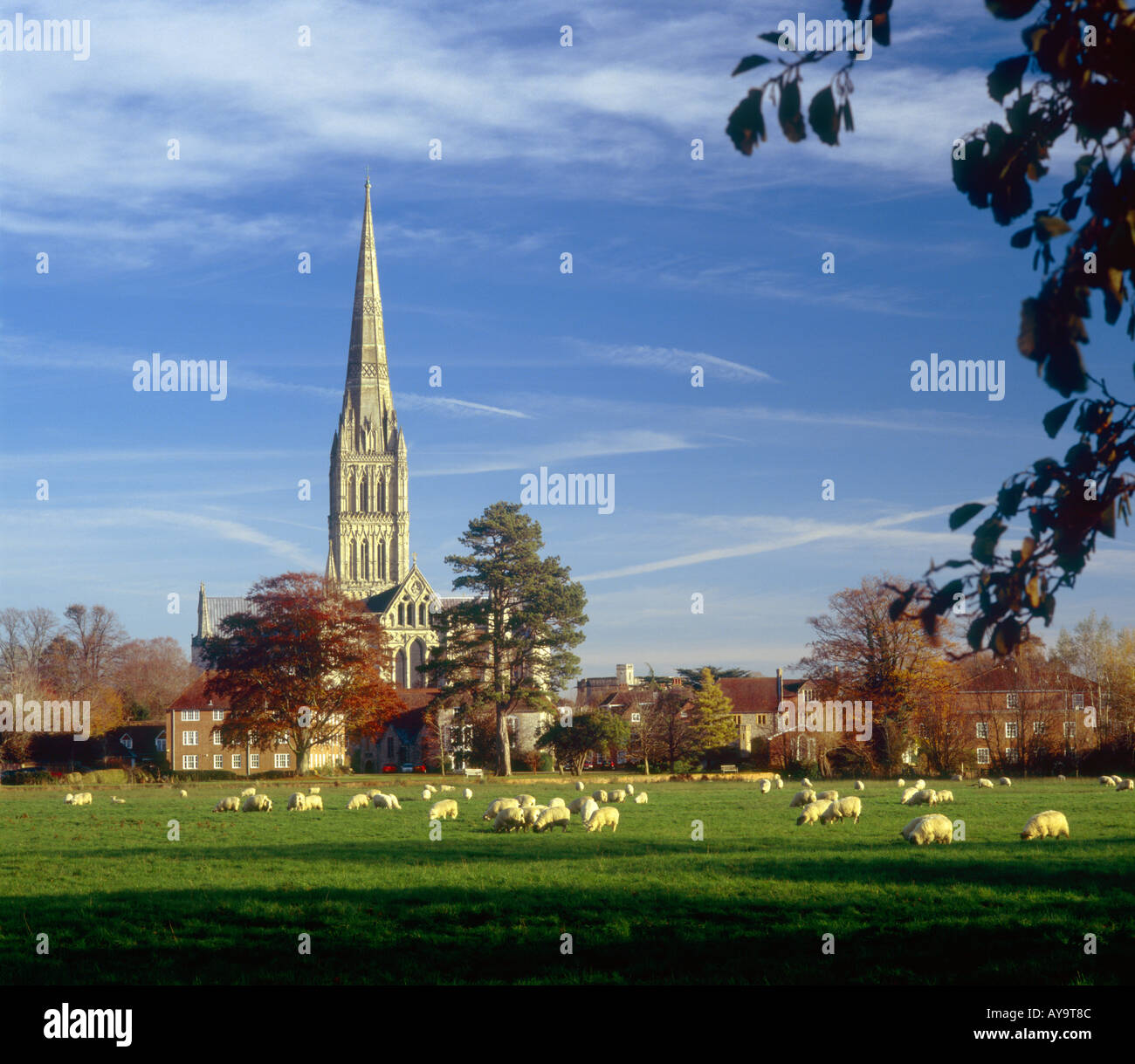 Salisbury cathedral in the evening hi-res stock photography and images ...