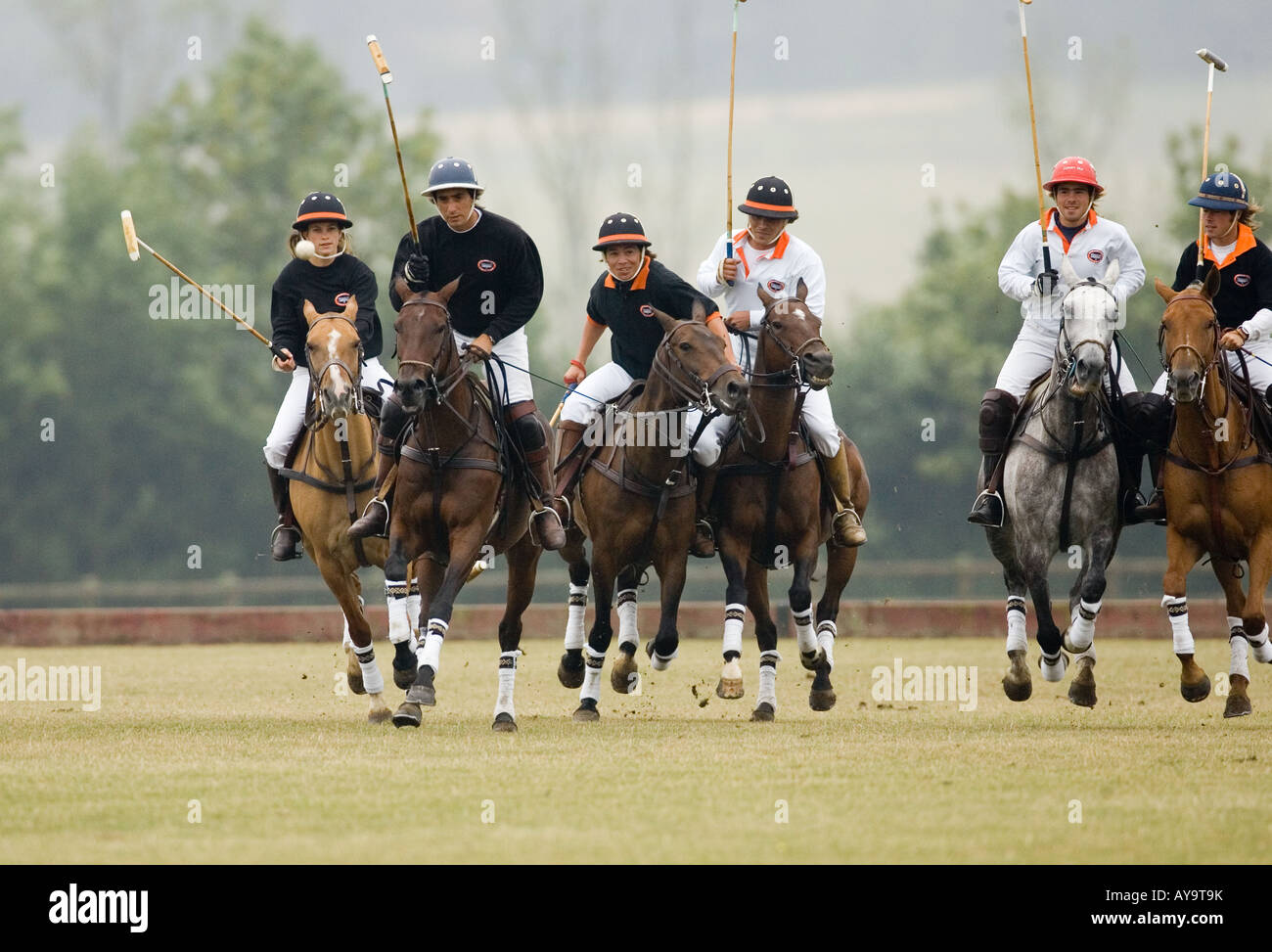 Polo players playing polo on horseback hi-res stock photography and ...