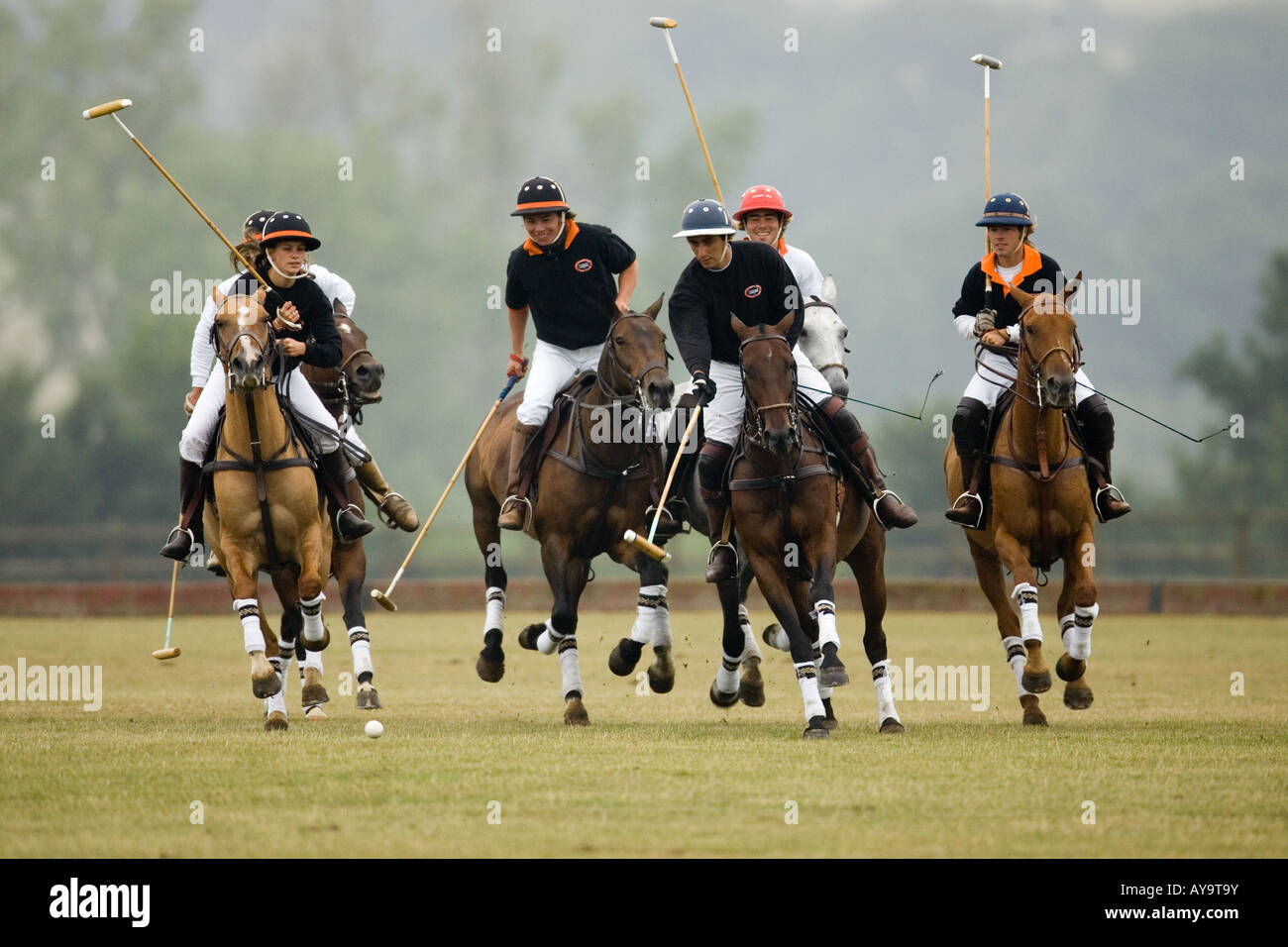 Polo players on horseback action Stock Photo - Alamy