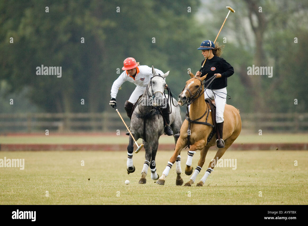 Polo players on horseback action Stock Photo - Alamy