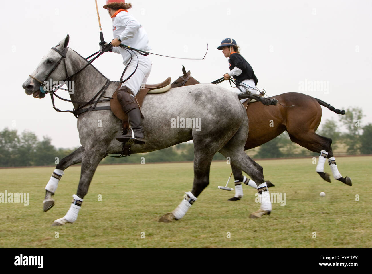 Polo players playing polo on horseback hi-res stock photography and ...