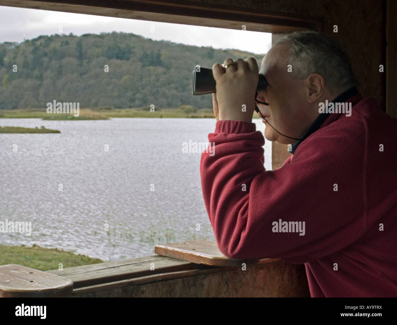Bird-Watcher in a hide Stock Photo - Alamy