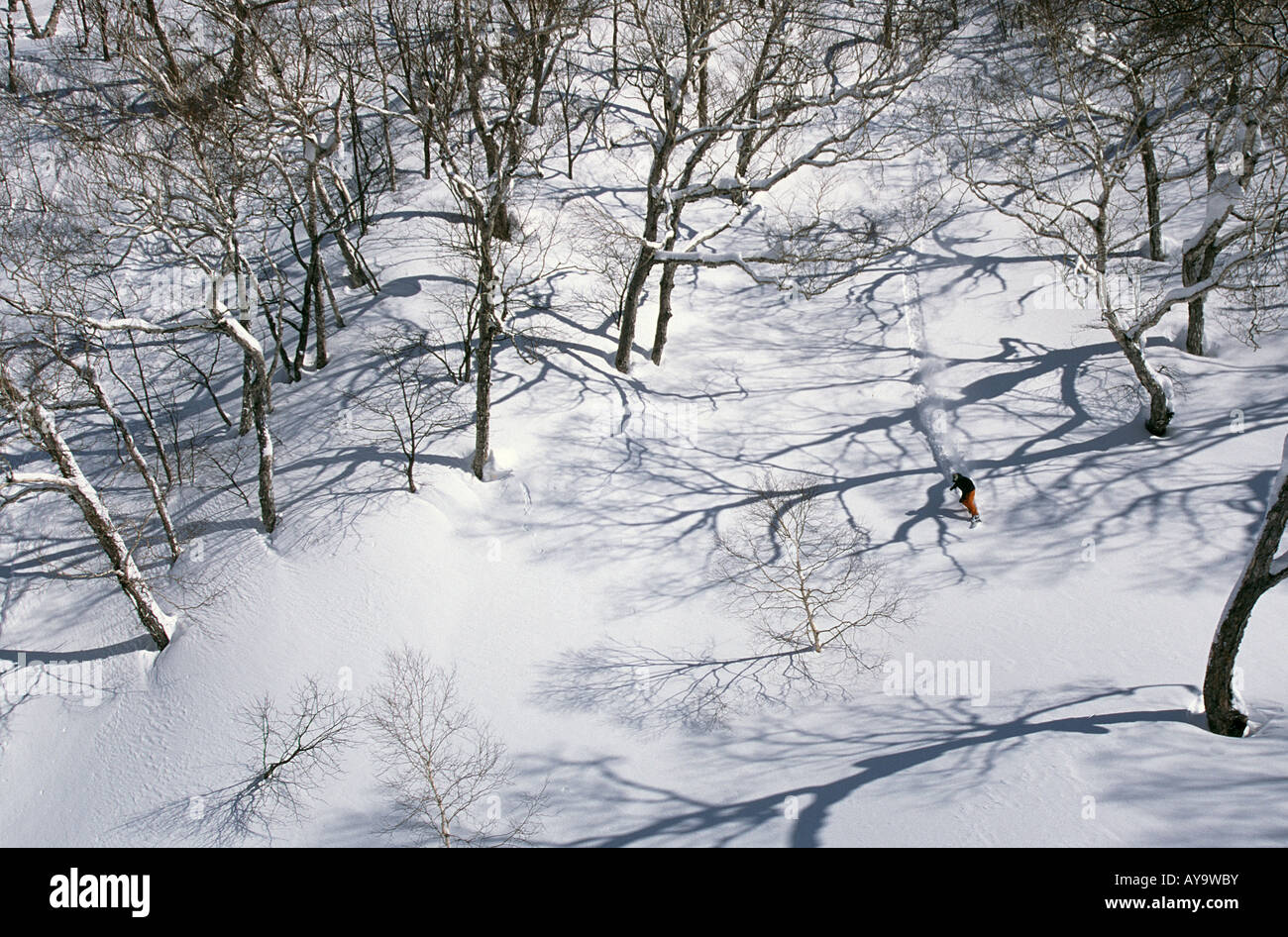 Snowboarding niseko japan hi-res stock photography and images - Alamy