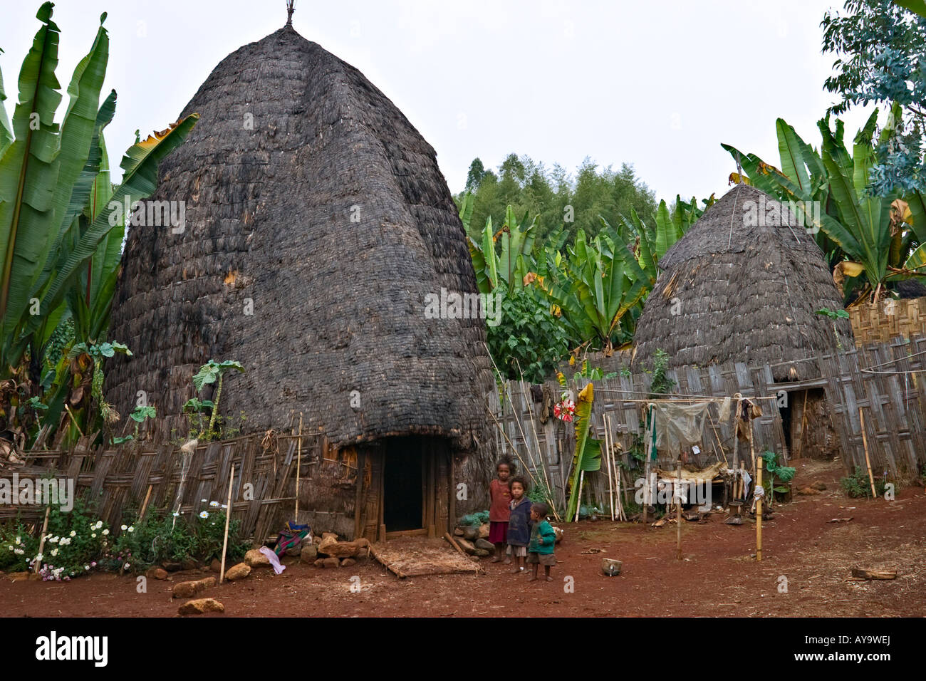Traditional Dorze Huts, Ethiopia, Africa Stock Photo - Alamy