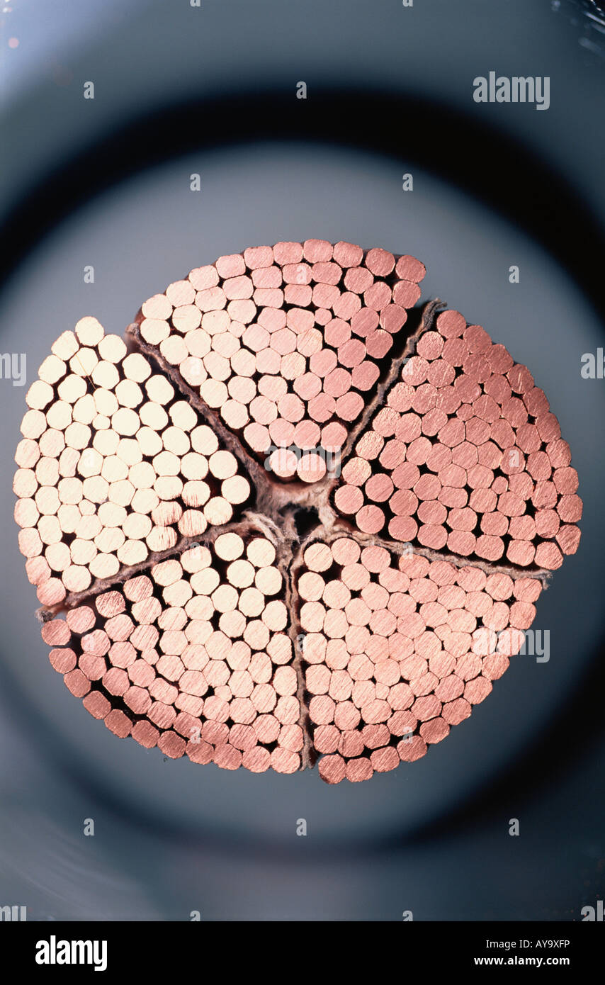 End of Cable Stock Photo - Alamy