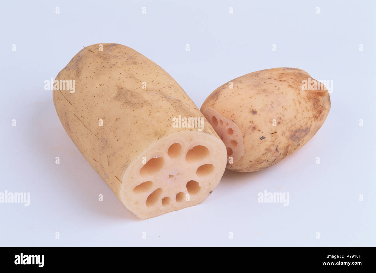 Roots only hi-res stock photography and images - Alamy