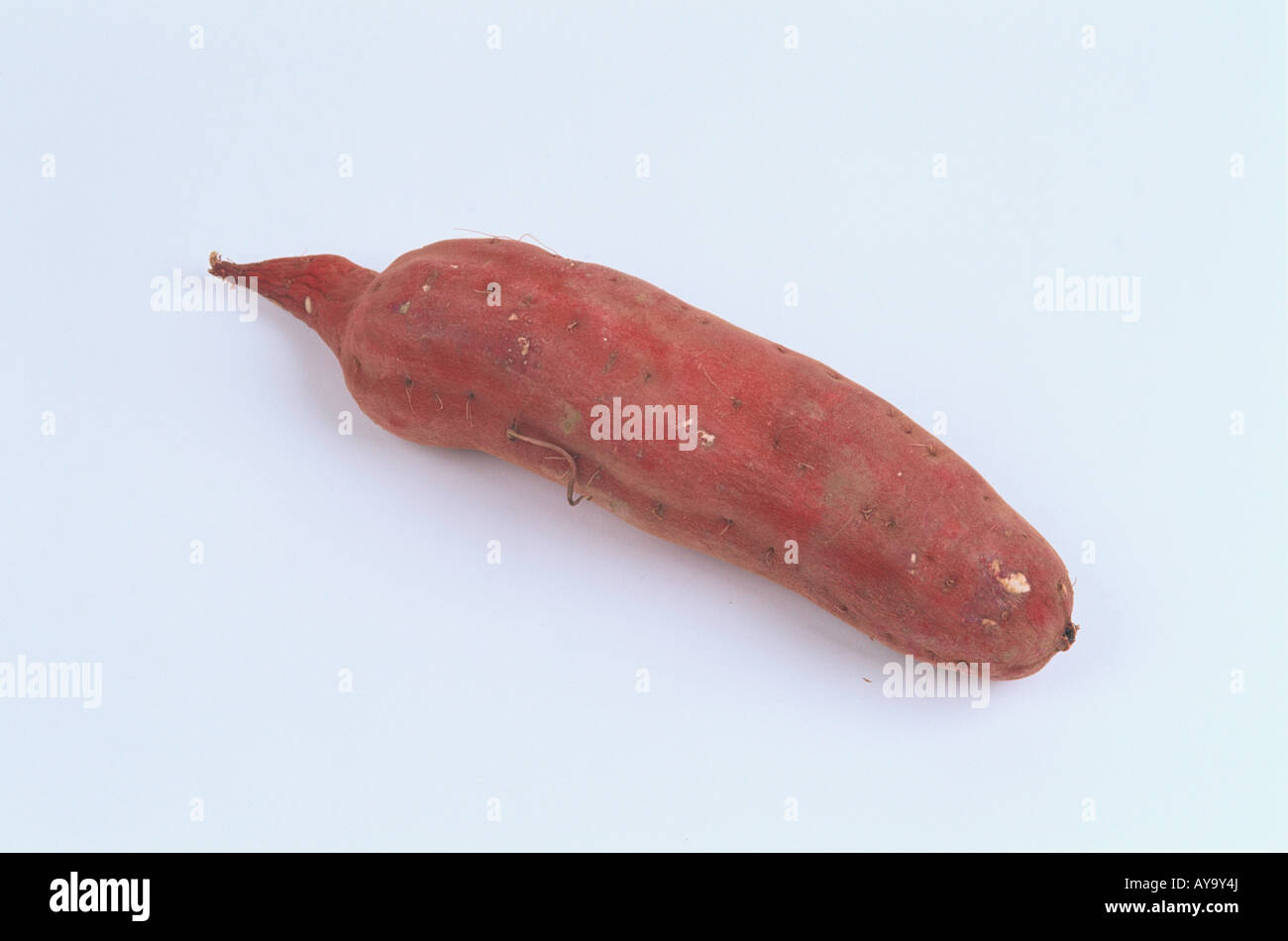 Sweet potatoes only view hi-res stock photography and images - Alamy