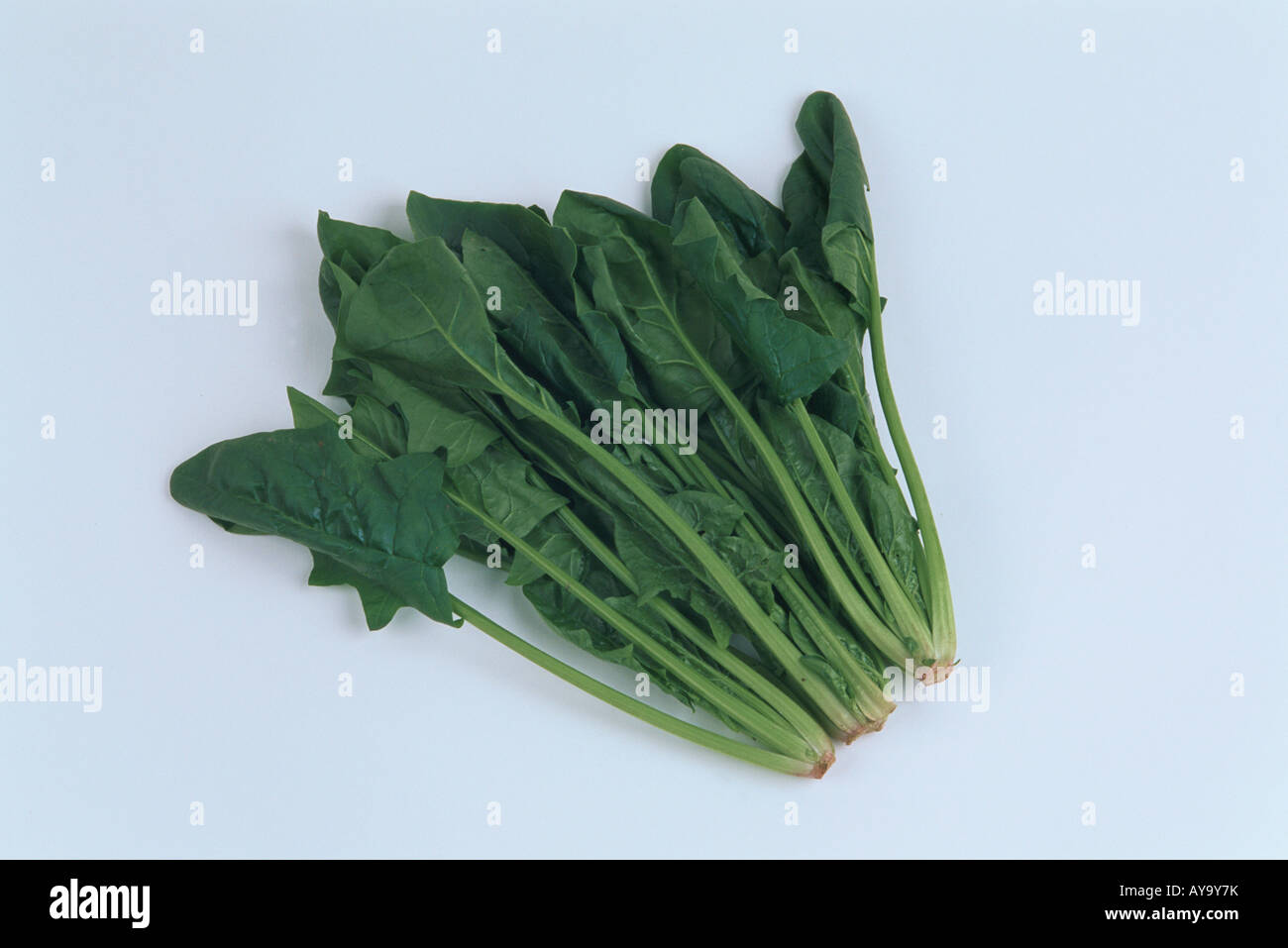 Stems of Spinach Stock Photo - Alamy